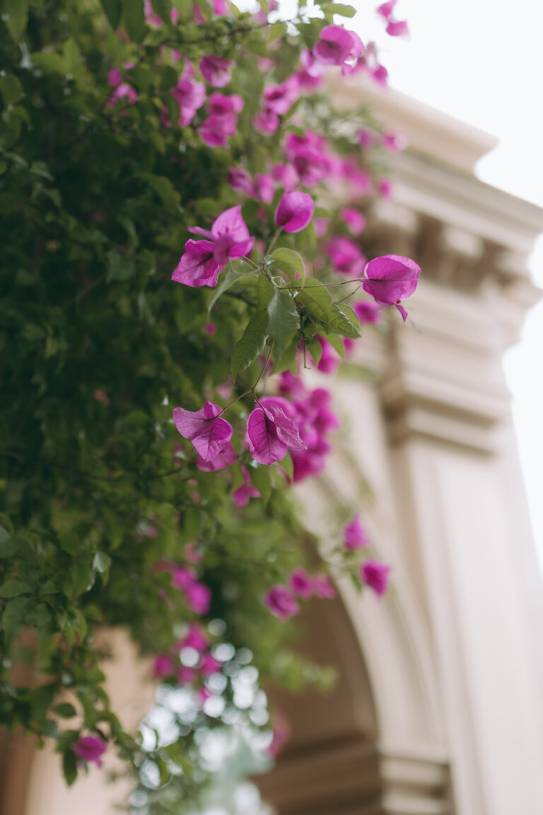 Adding "Something Blue" Details to An Engagement Session at Balboa Park ...